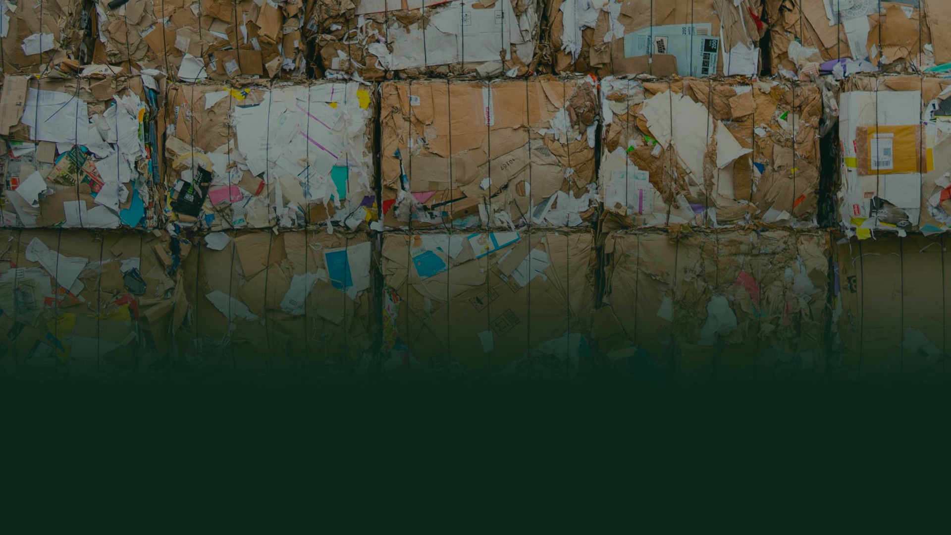 Logos - Media Kit + Press Kit | RoadRunner