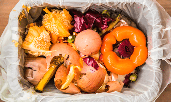 A Guide To Workplace Composting